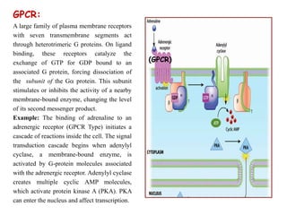 Cell signaling | PPT