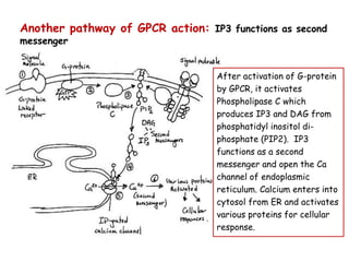 Cell signaling | PPT
