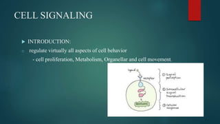 Cell signaling.... (1) | PPT