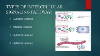 Cell signaling.... (1) | PPT