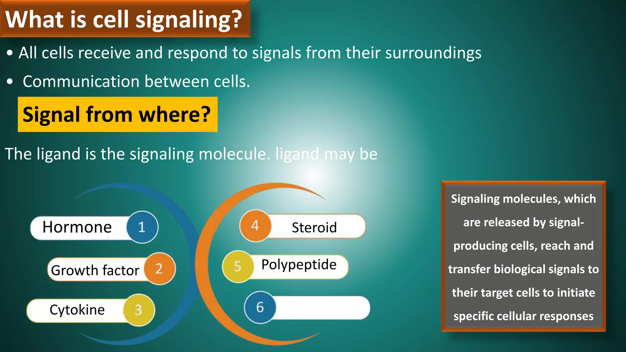 Cell signaling by Vidan Biology | PPTX
