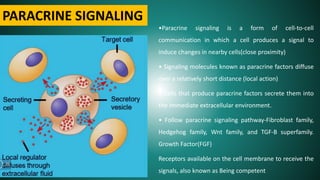 Cell signaling by Vidan Biology | PPTX