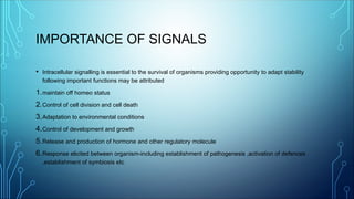 Cell signaling | PPT