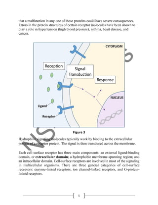 Cell Signaling Notes for B.Sc. Biotech/Botany Sem-1 | PDF