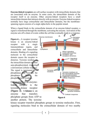 Cell Signaling Notes for B.Sc. Biotech/Botany Sem-1 | PDF
