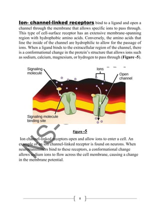 Cell Signaling Notes for B.Sc. Biotech/Botany Sem-1 | PDF