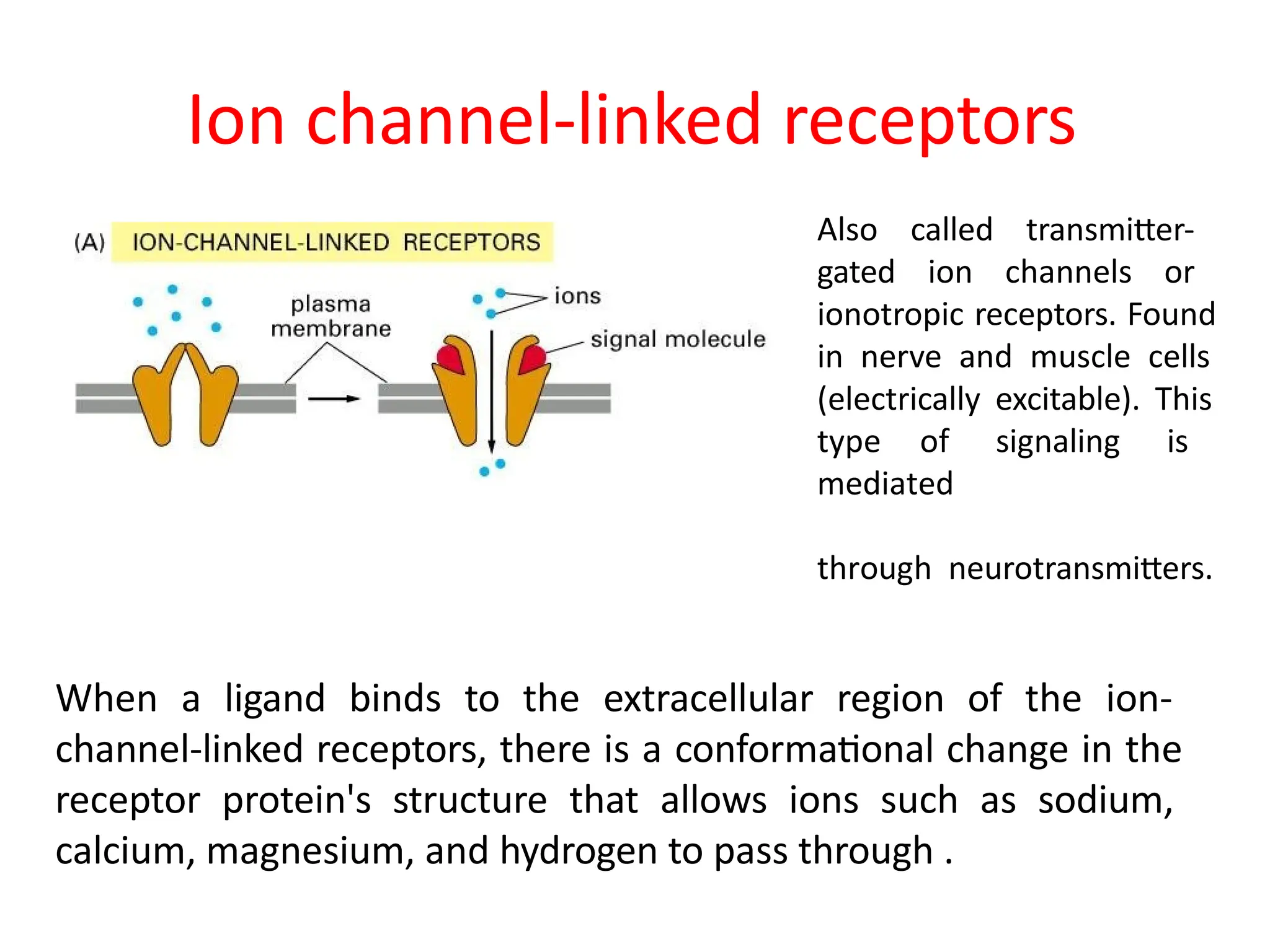 cell signaling.cell signallig ligands, receptors and pathways.pptx