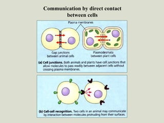 Cell Signaling- Arijit.ppt