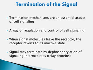 Cell signaling -_introduction[1] | PDF