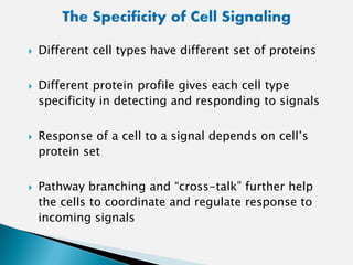 Specificity Of Cell Signaling