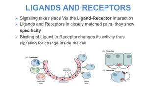 Cell signaling | PPTX