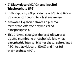 cell signaling detail explanation 2.pptx