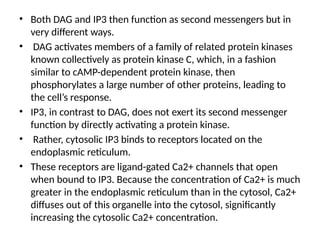 cell signaling detail explanation 2.pptx