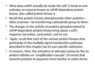 cell signaling detail explanation 2.pptx