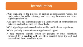 Cell Signaling And Cell Death | PPT