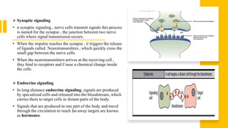 Cell Signaling And Cell Death | PPT