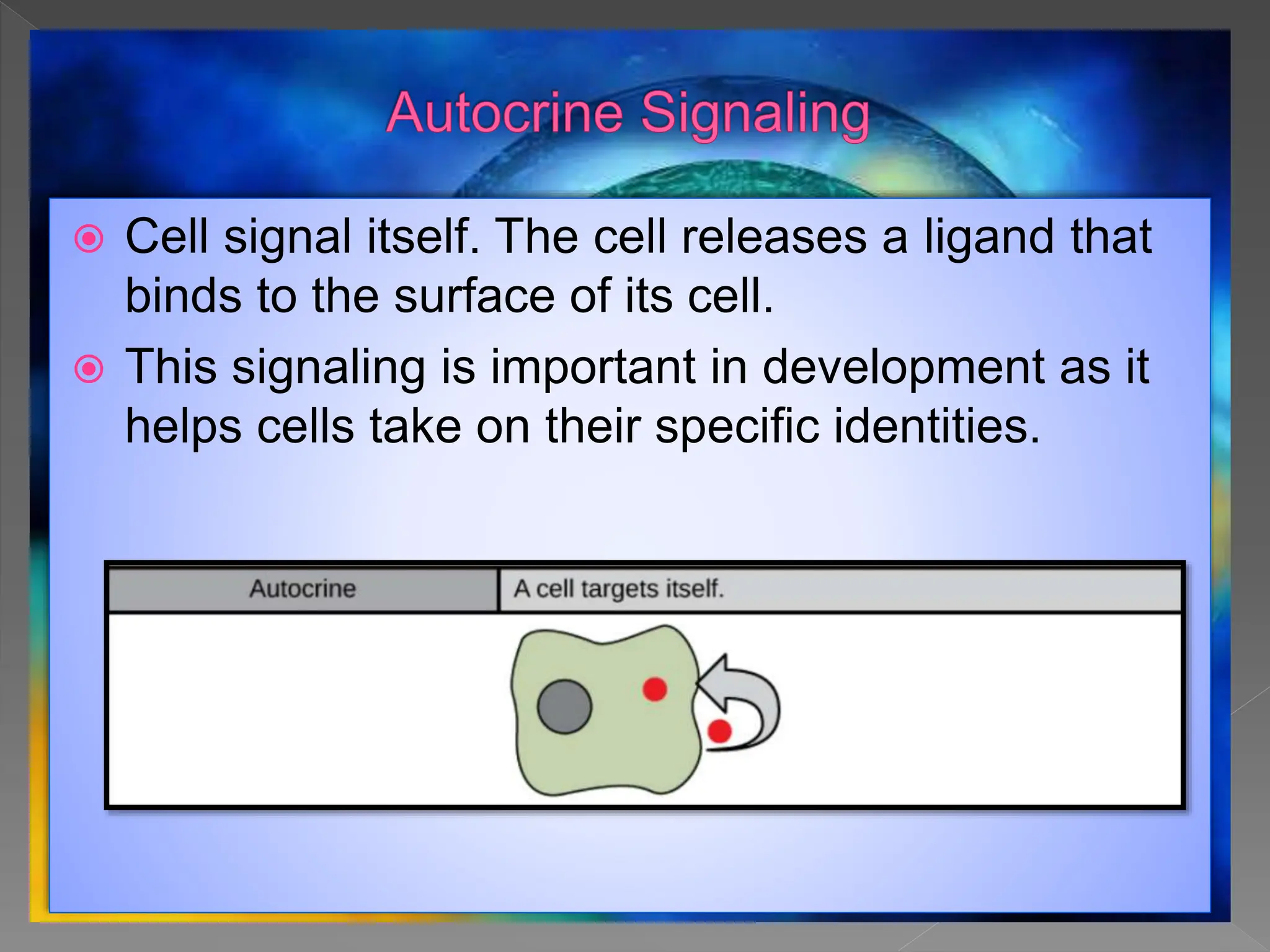 CELL SIGNALING, CELL CYCLE AND CELL DEATH.pptx