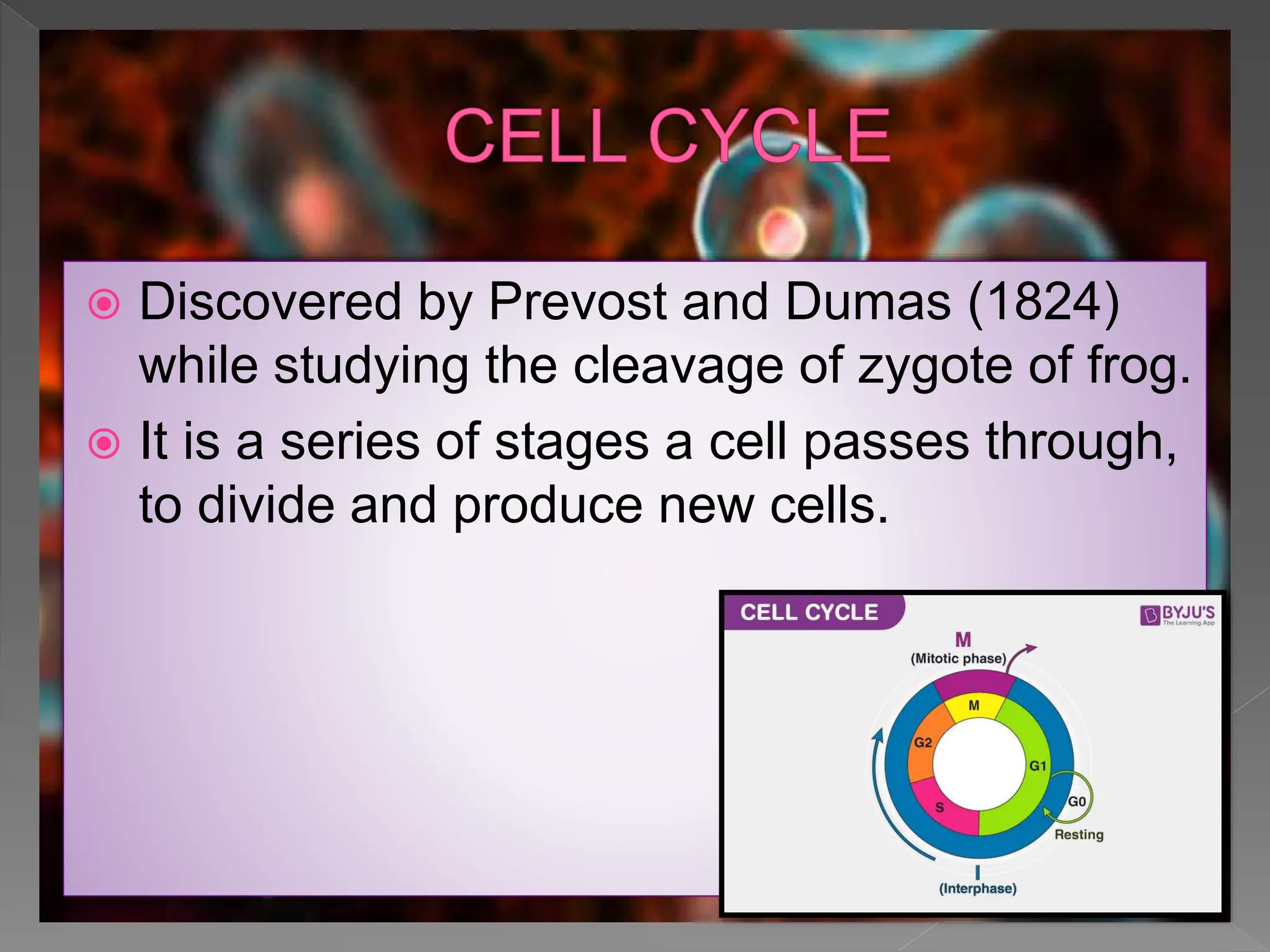 CELL SIGNALING, CELL CYCLE AND CELL DEATH.pptx