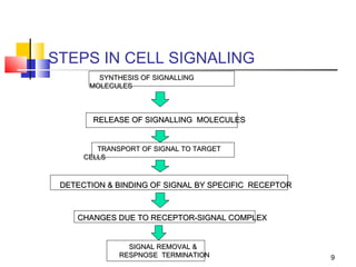 Cell signaling | PDF