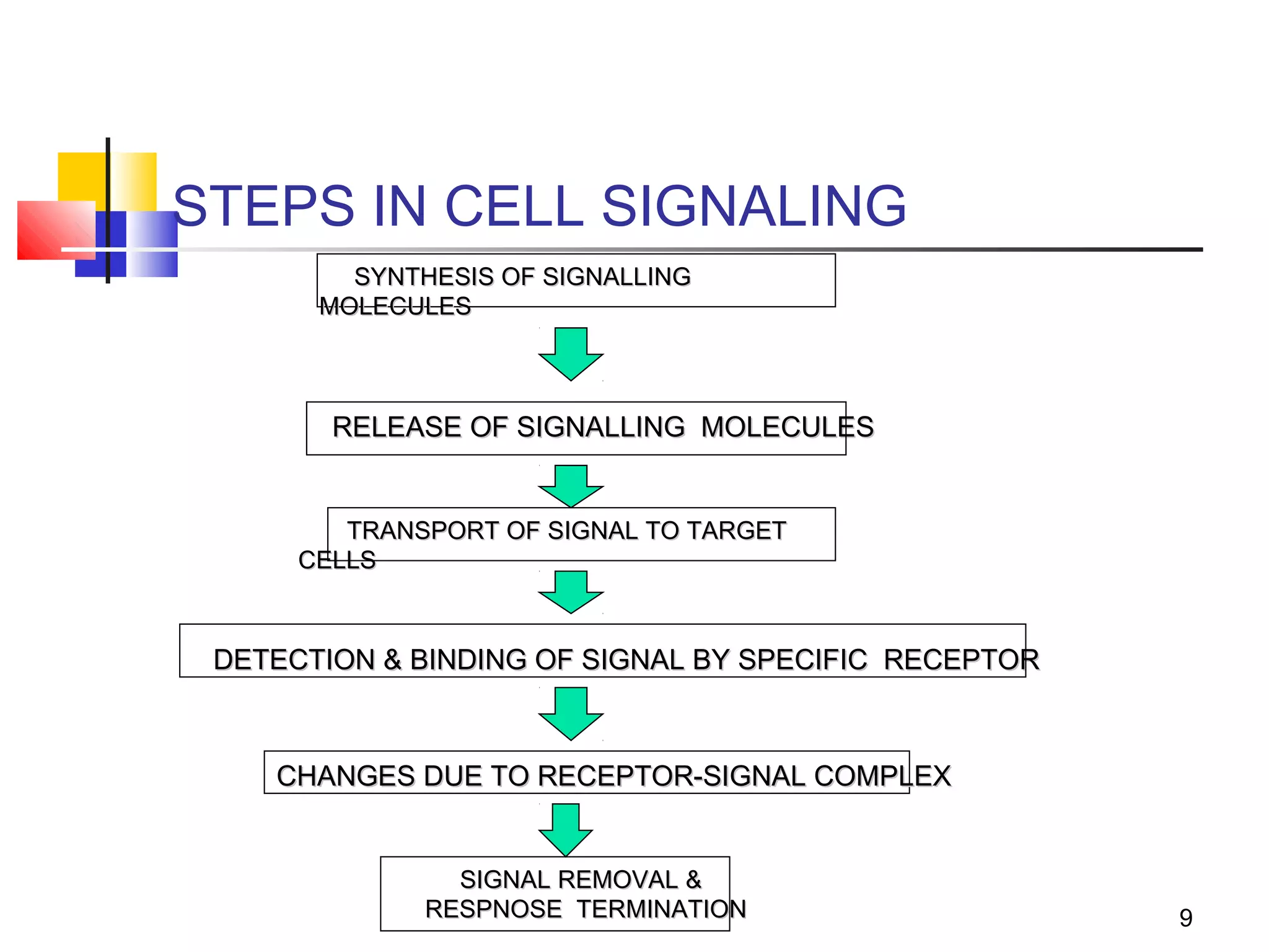 Cell signaling | PPT