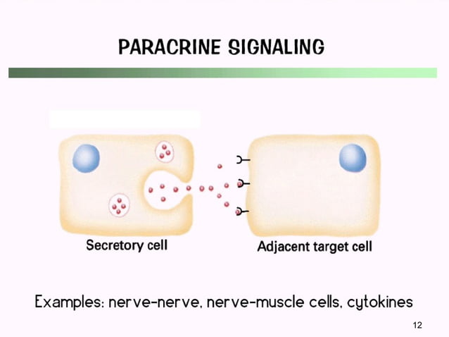 Cell signaling | PPT | Biological Sciences | Science
