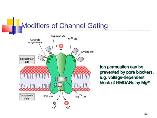 Cell signaling | PPT | Biological Sciences | Science