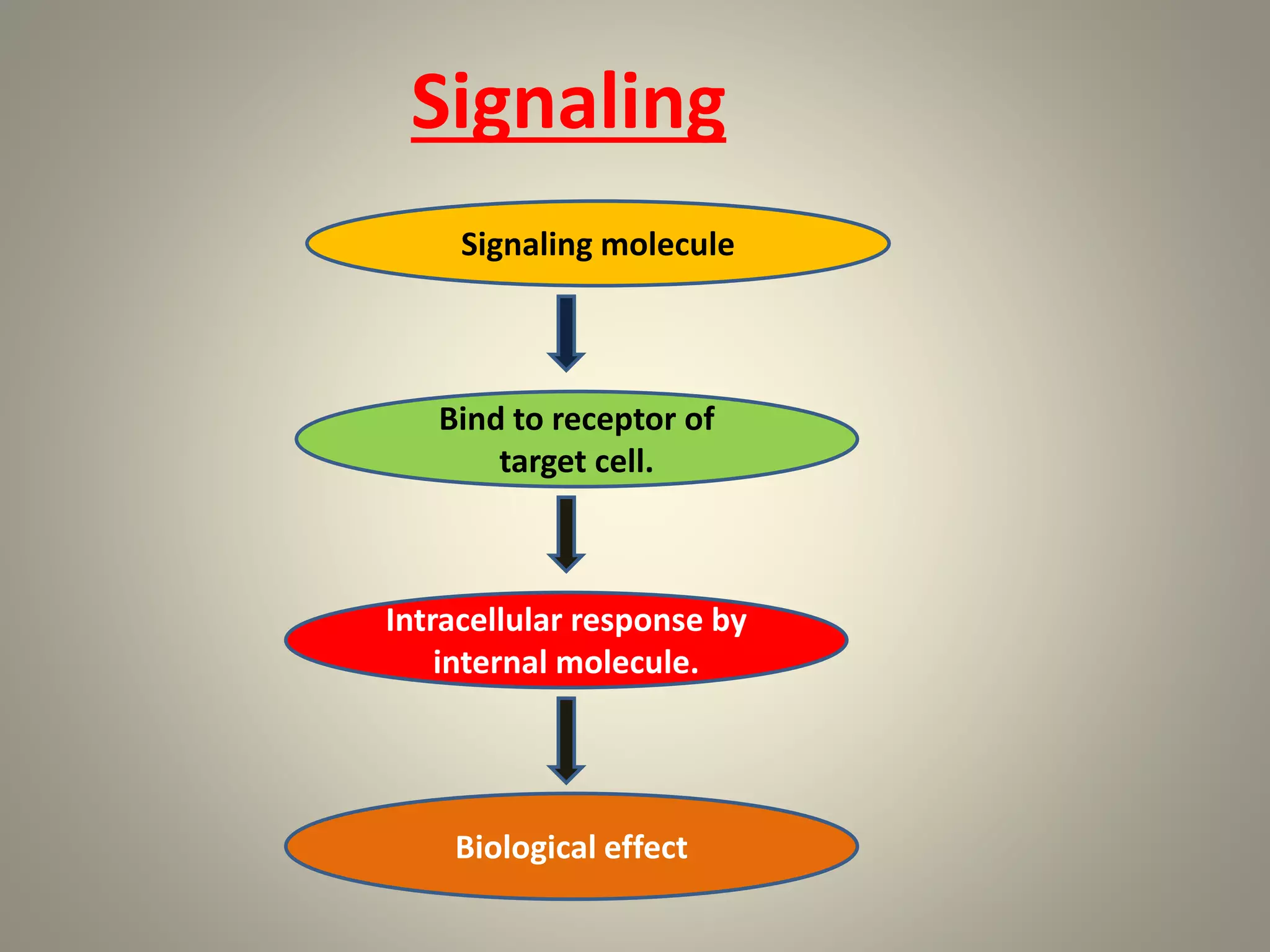 Cell signaling ion and enzyme linked ritima | PPT
