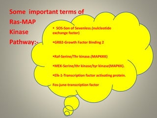 Cell signaling ion and enzyme linked ritima | PPT