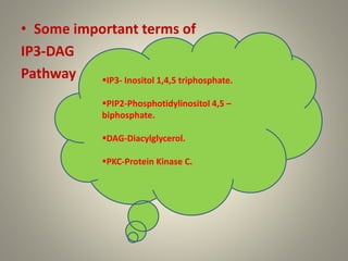 Cell signaling ion and enzyme linked ritima | PPT