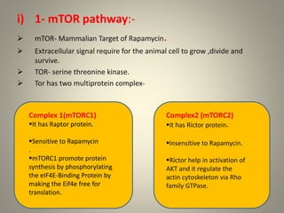 Cell signaling ion and enzyme linked ritima | PPT