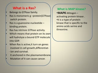 Cell signaling by Ritima mishra | PPT
