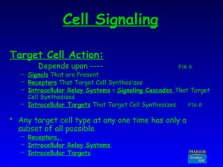 Molecular Conversations: Principles of Cell Signaling and Transduction ...