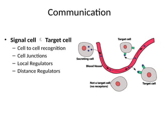 Molecular Conversations: Principles of Cell Signaling and Transduction ...