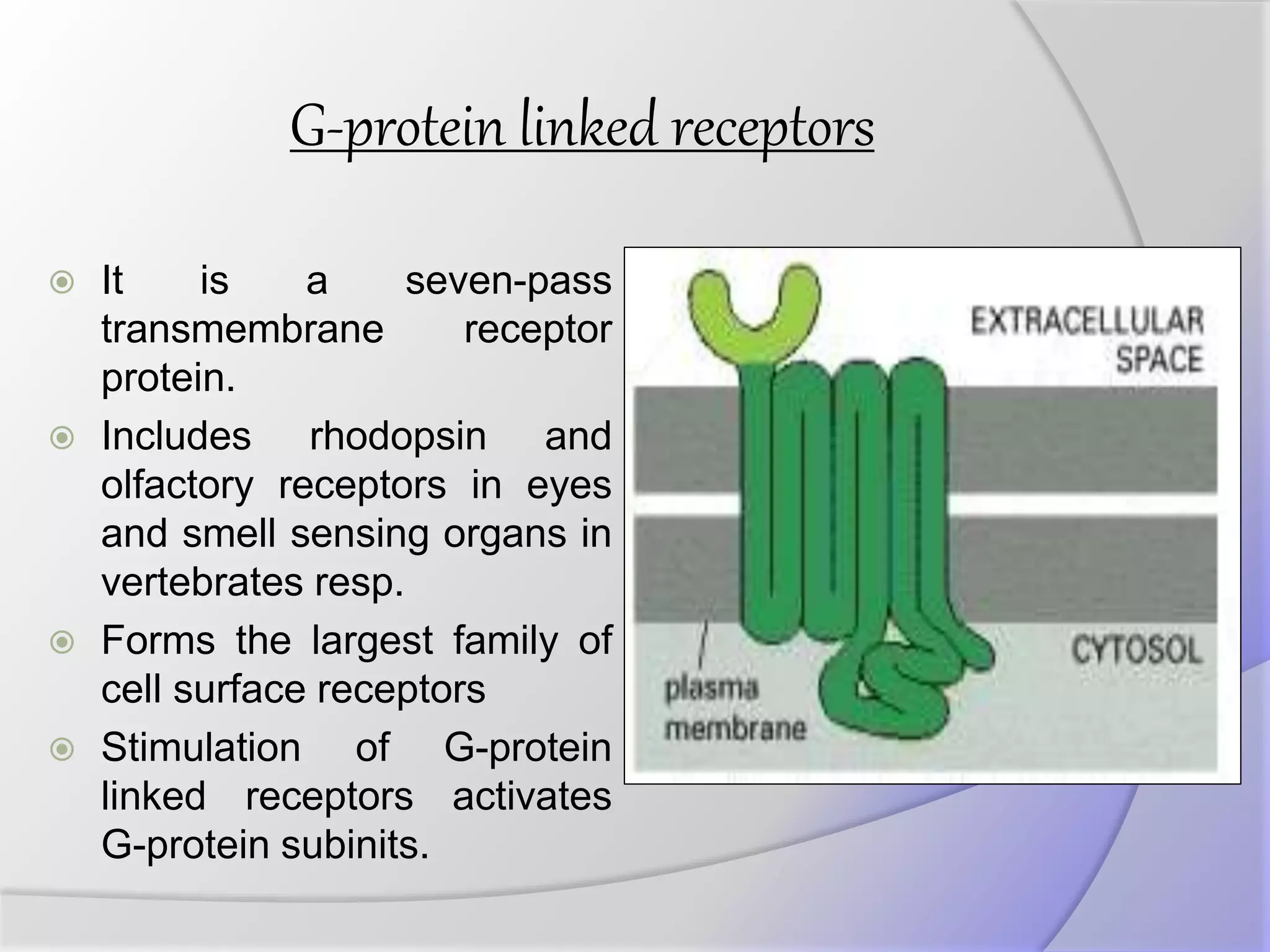 Cell signaling [mva] | PPT