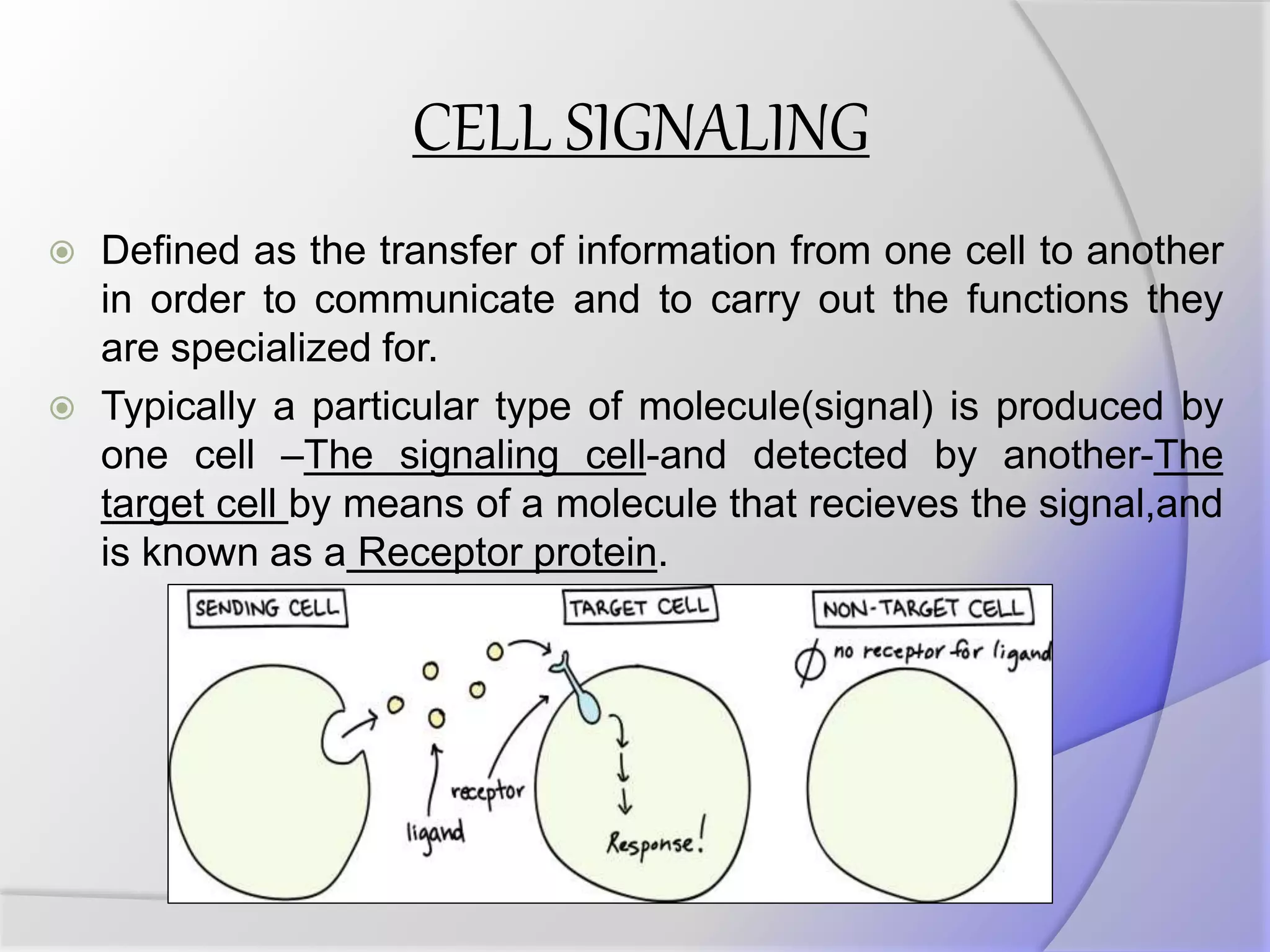 Cell signaling [mva] | PPT