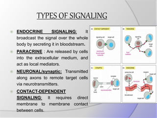 Cell signaling [mva] | PPT