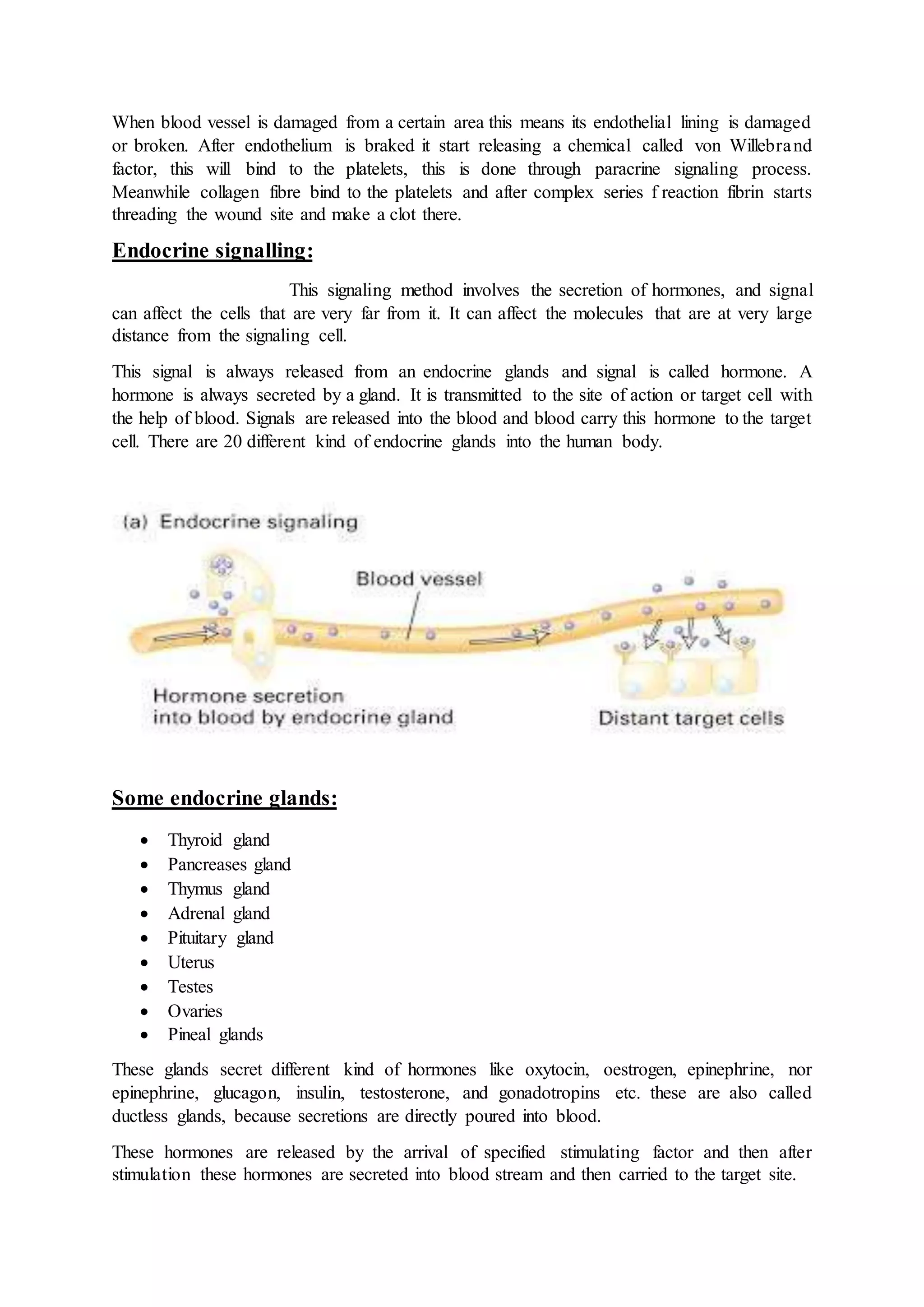Cell signaling pathways | DOCX