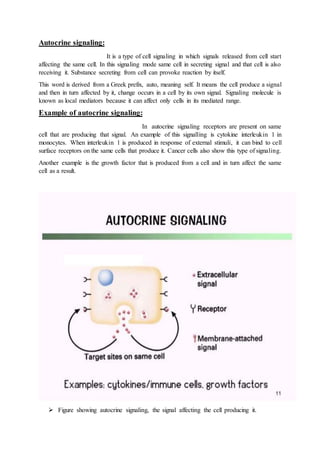 Cell signaling pathways | DOCX