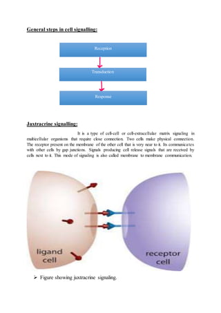 Cell signaling pathways | DOCX