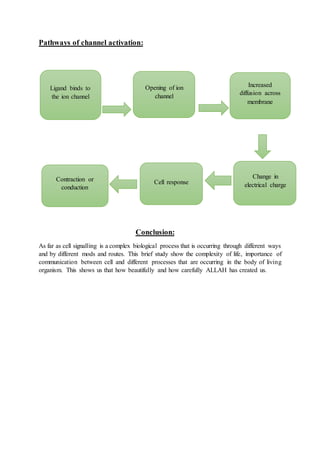 Cell signaling pathways | DOCX