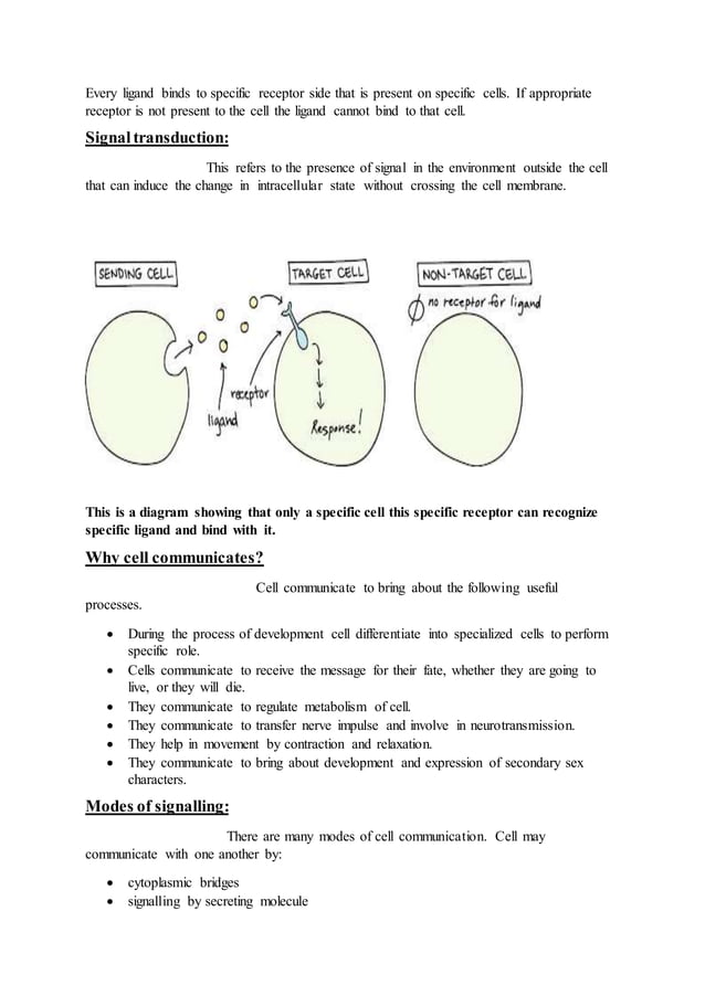 Cell signaling pathways | PDF