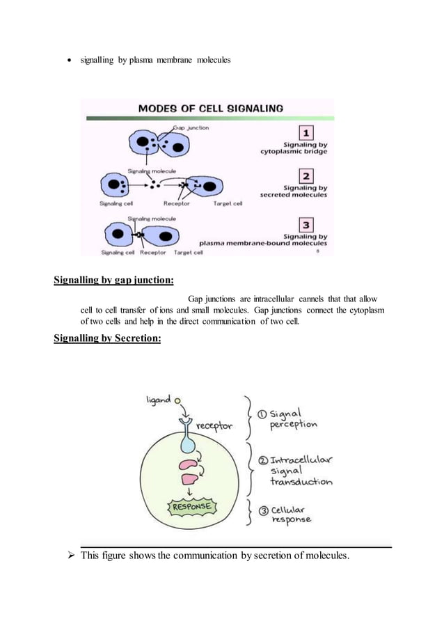 Cell signaling pathways | DOCX