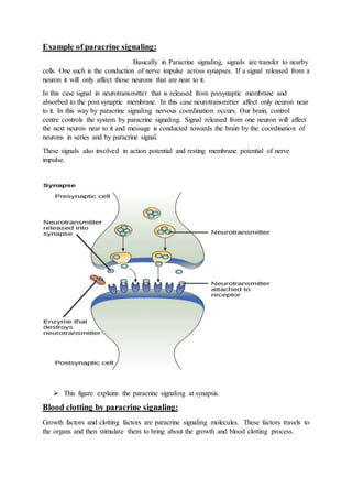 Cell signaling pathways | DOCX