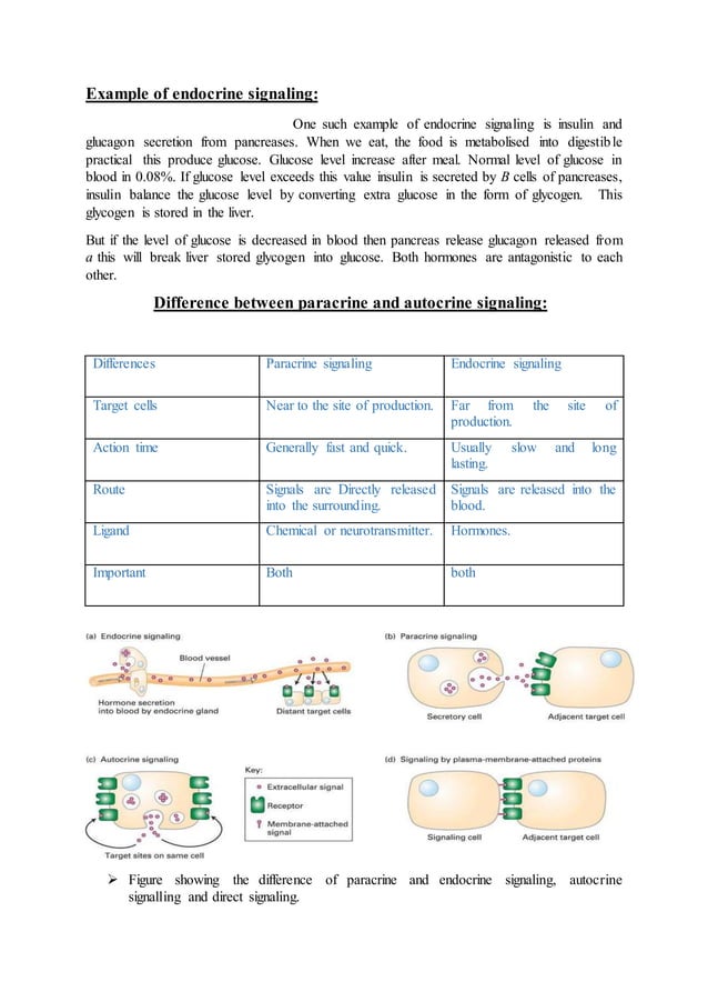 Cell signaling pathways | DOCX