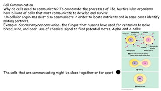 Cell signal lecture | PPT