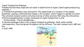 Cell signal lecture | PPT