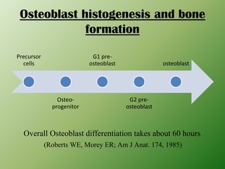 Cell signalling | PPTX | Endocrine and Metabolic Diseases | Diseases ...