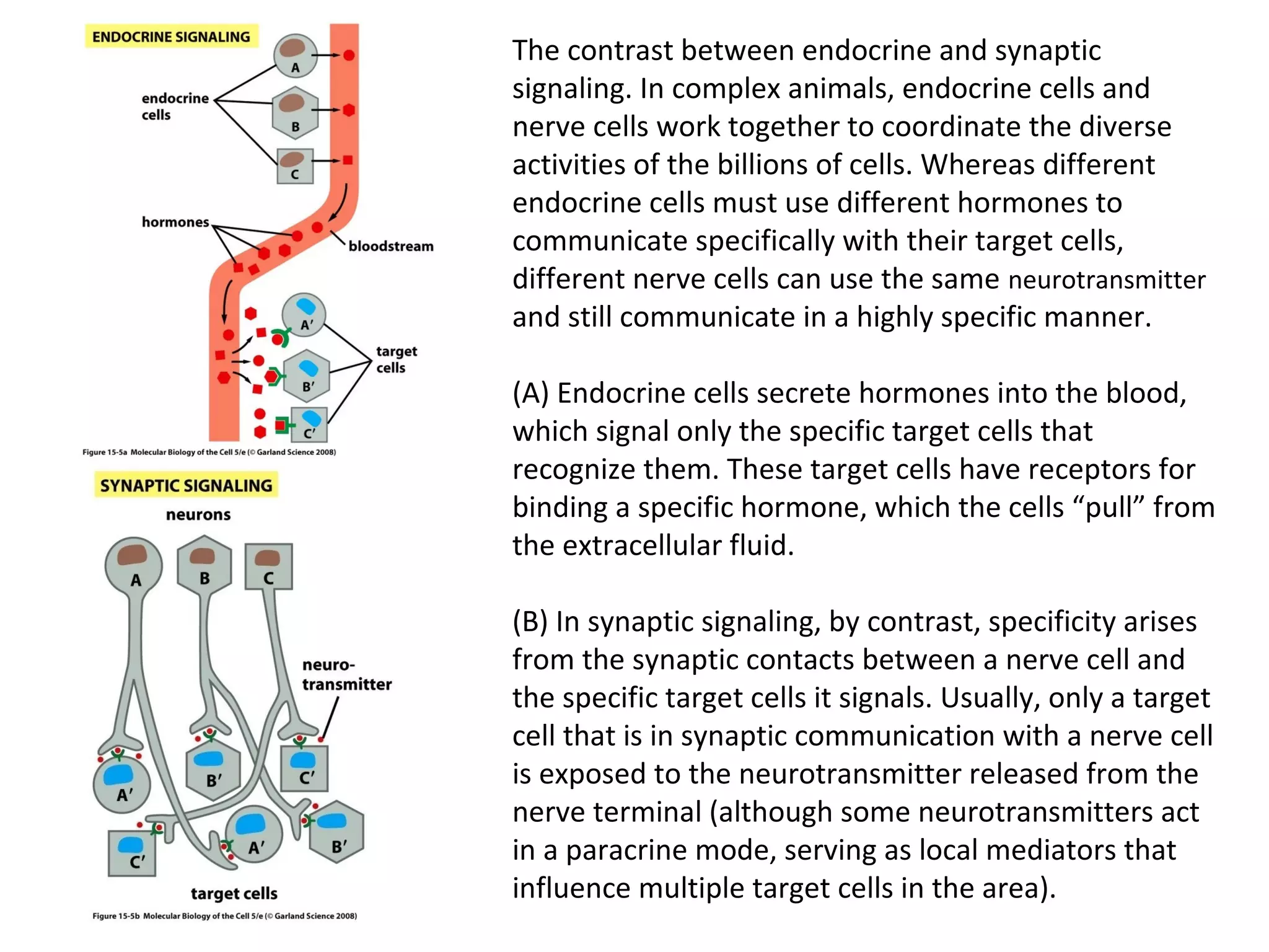 Cell signalling | PPT