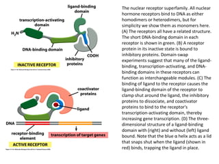 Cell signalling | PPT