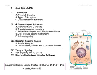 Cell signalling - | PDF